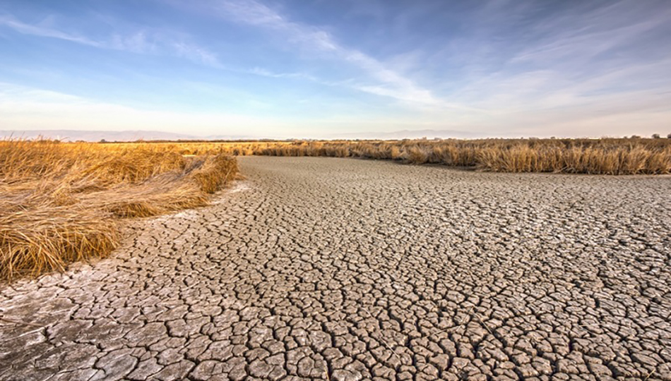 Official says, 17 trillion dinars allocated to face Iraq's desertification